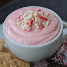 Peppermint Dip - Lauren's Latest