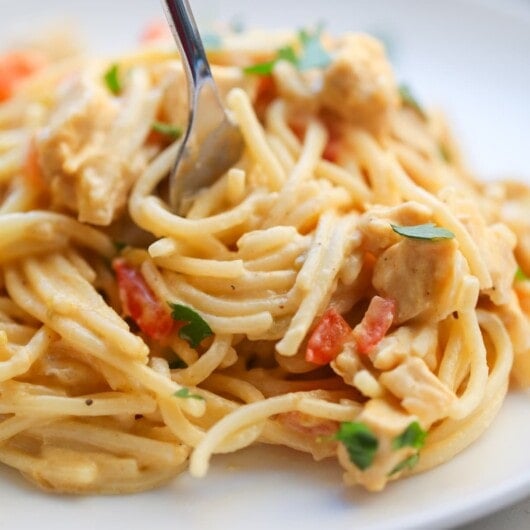 Cheesy Chicken Spaghetti Recipe - Lauren's Latest