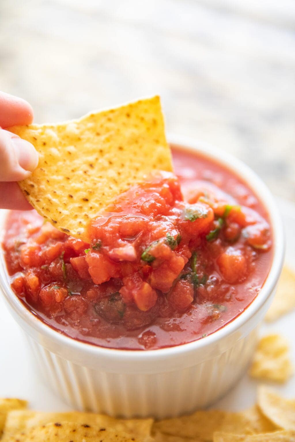 Homemade Salsa Recipe - Lauren's Latest