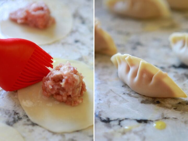 Easy Pork Potstickers - Lauren's Latest