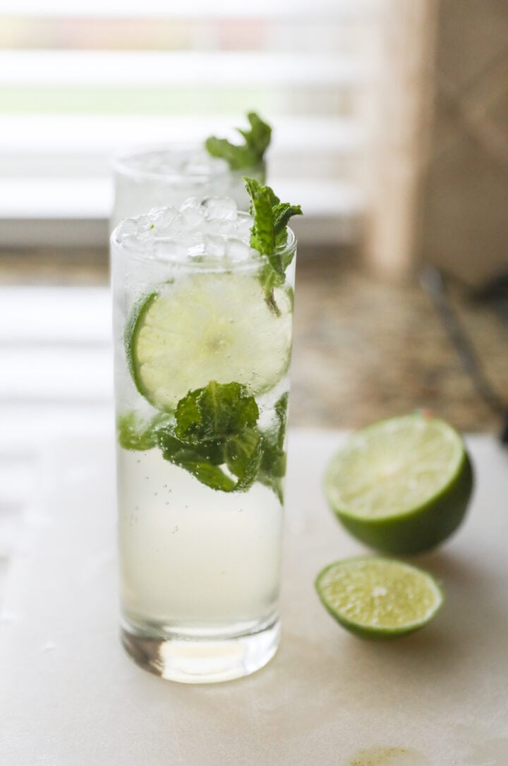 Mojito Mocktails - Virgin Mojito Recipe - Lauren's Latest