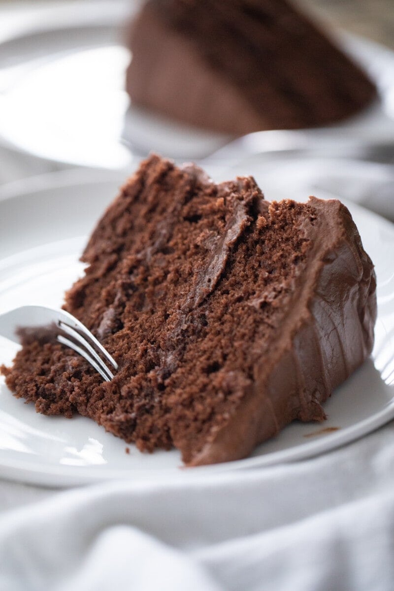 Classic Chocolate Cake Recipe - Lauren's Latest
