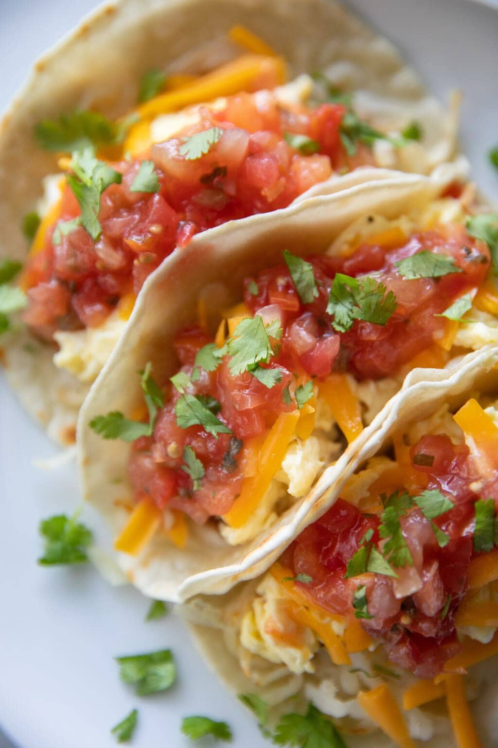 Breakfast Tacos - Lauren's Latest