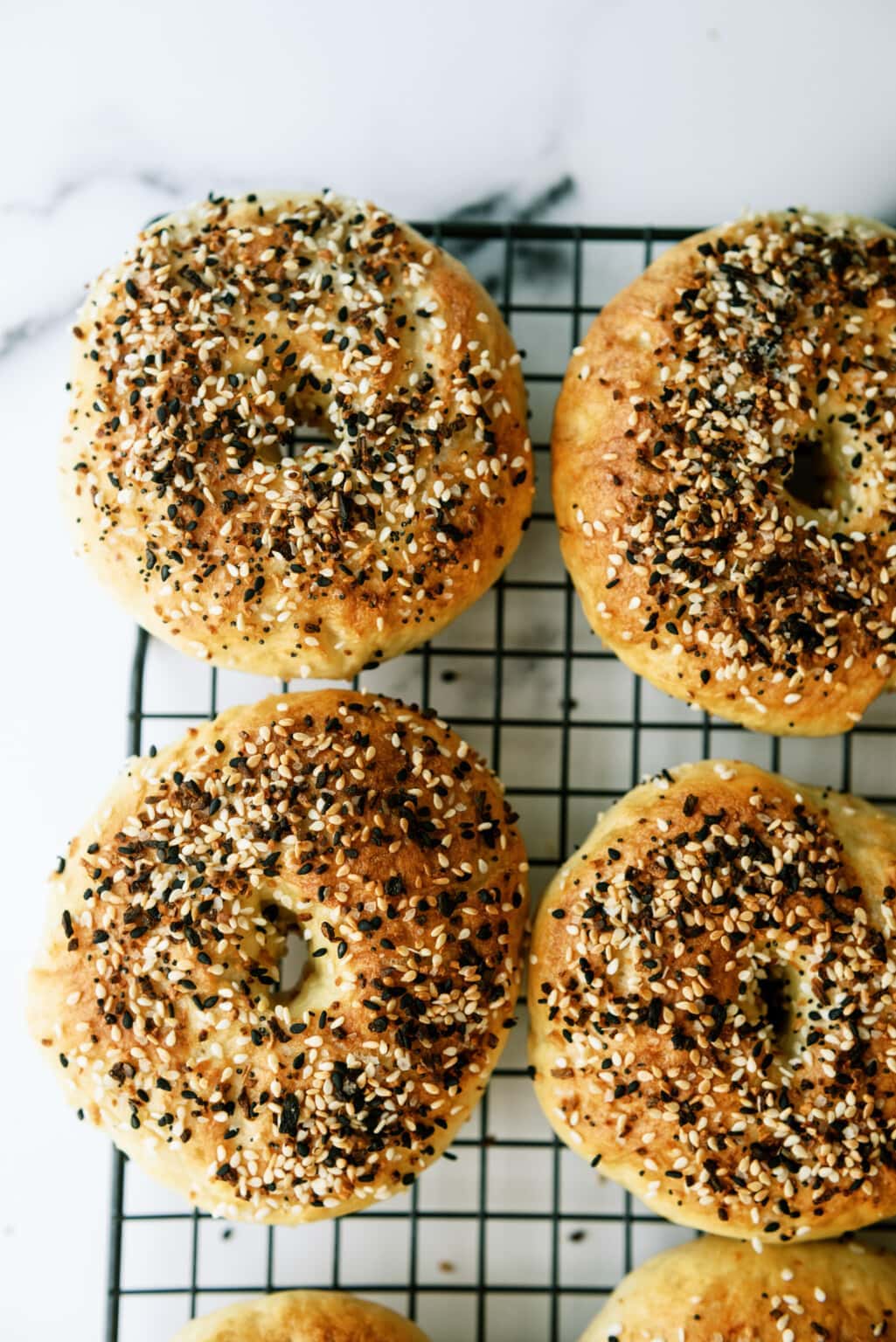 Homemade Bagel Recipe - Lauren's Latest