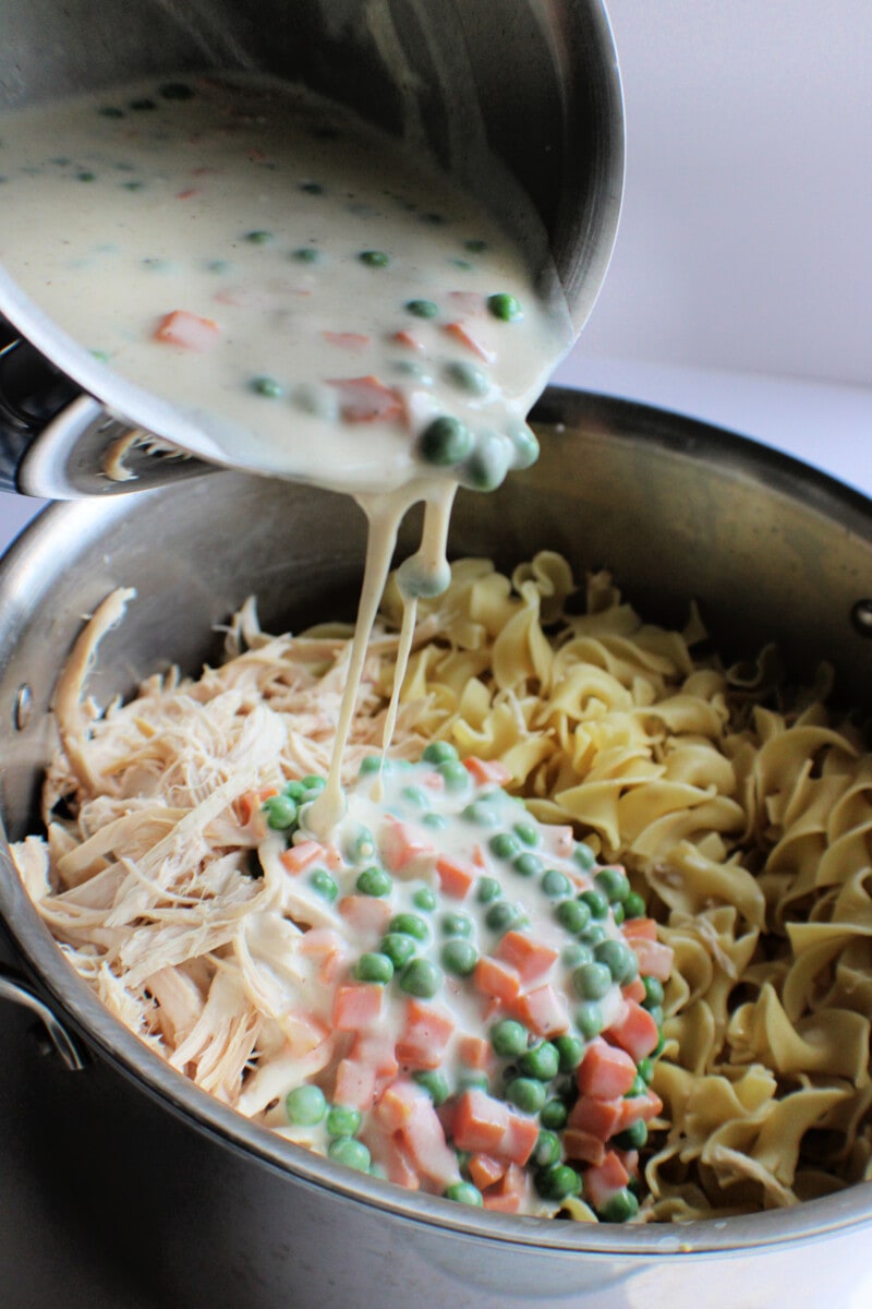 Cheesy Chicken Noodle Casserole - Lauren's Latest