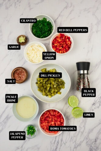 PICKLE DE GALLO - Lauren's Latest
